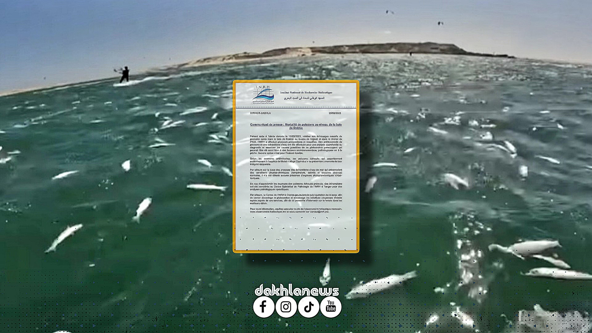 الـINRH يُفرج عن نتائج البحث في نفوق أسماك "البوري" بسواحل الداخلة